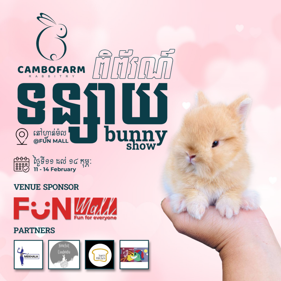 Experience Fun and Joy at Fun Mall TK with Cuddly Bunnies! - When in ...